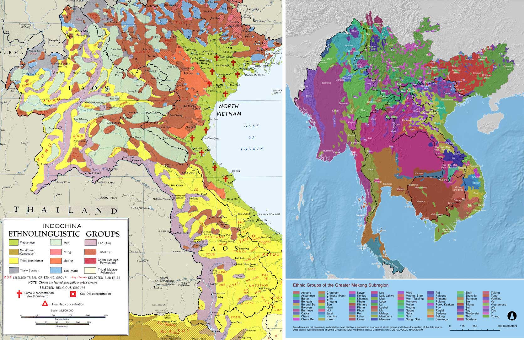 Nerd facts: Asian’s face characteristics graphic | Marco Hernandez